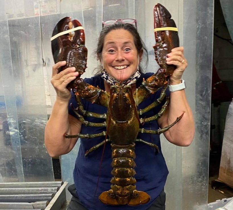 N.B. Seafood Restaurant Seeing A Few Larger-Than-life Lobsters This ...